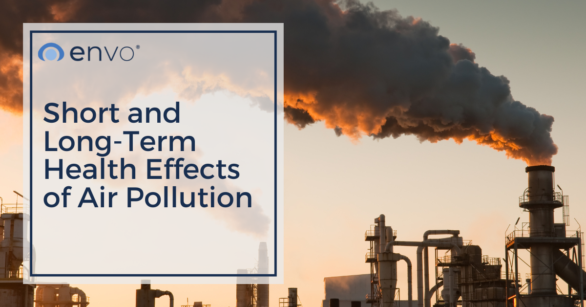 Short and Long-Term Health Effects of Air Pollution – envo mask